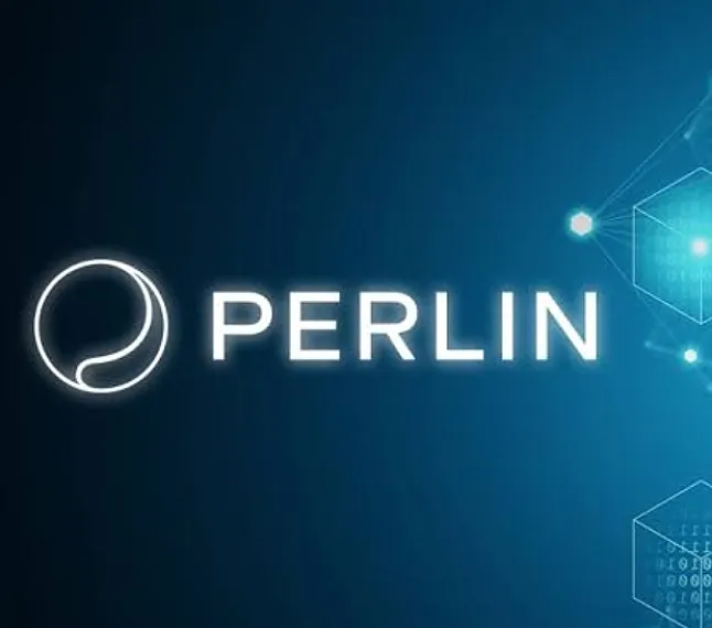 Perlin Coin Nedir?Perl Coin Ne İşe Yarar? - Linc Heap - Haber Ve Blog