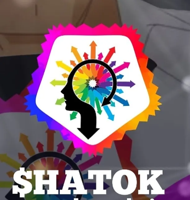 Hatoken Coin Nedir? HATOK Coin Ne İşe Yarar? - Linc Heap - Haber Ve Blog