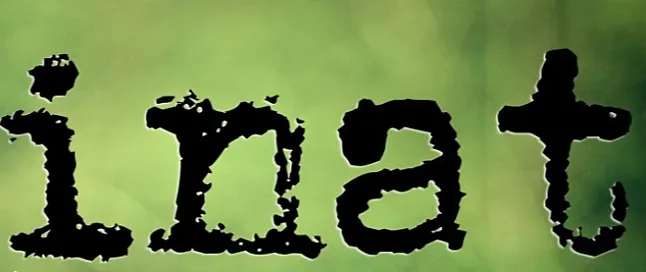 Rüyada İnat Görmek Ne Demek Neye Yorumlanır? - Linc Heap - Haber Ve Blog