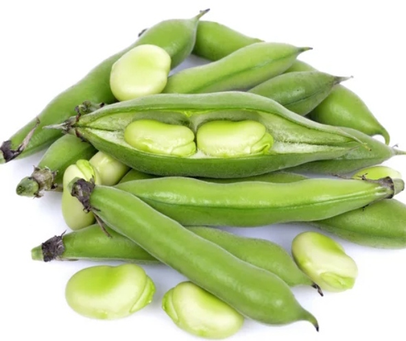 Bakla Nedir? Baklanın Faydaları Nelerdir? - Linc Heap - Haber Ve Blog