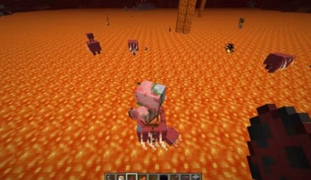 Minecraft Strider'e (Yolgezer) Nasıl Bulunur Ve Nasıl Binilir ? - Linc ...