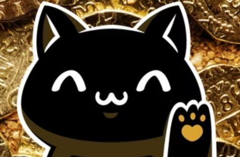 TikTok Doubloon Kedi Trendi Nedir? - Linc Heap - Haber Ve Blog