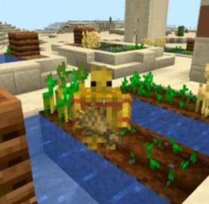 Minecraft: Saman Golemleri Nasıl Yapılır ? - Linc Heap - Haber Ve Blog
