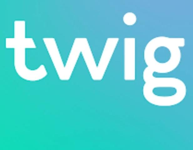 Twig uygulaması nedir? - Linc Heap - Haber Ve Blog