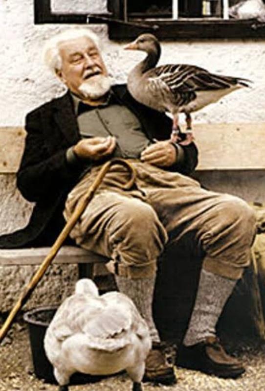 Konrad Lorenz Kimdir? - Linc Heap - Haber Ve Blog